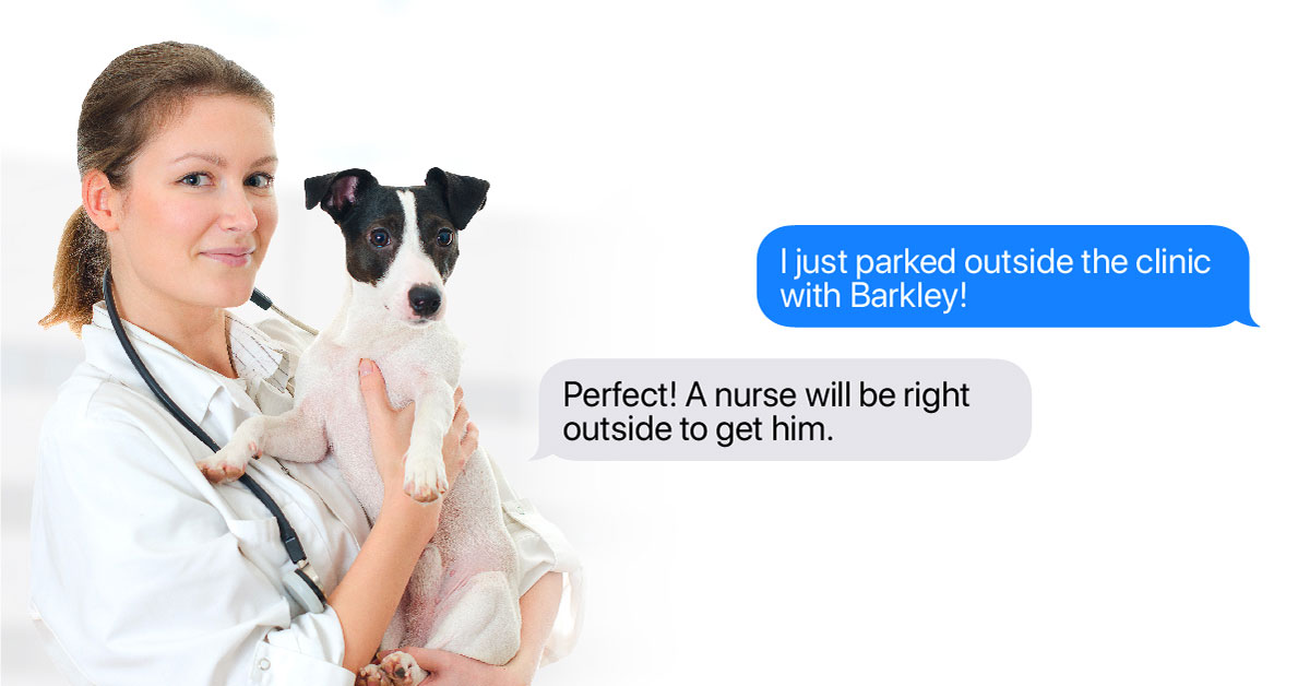 Texting for Veterinary Practices | Call Box